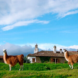 Gallery – Inca Hacienda – Cotopaxi Ecuador